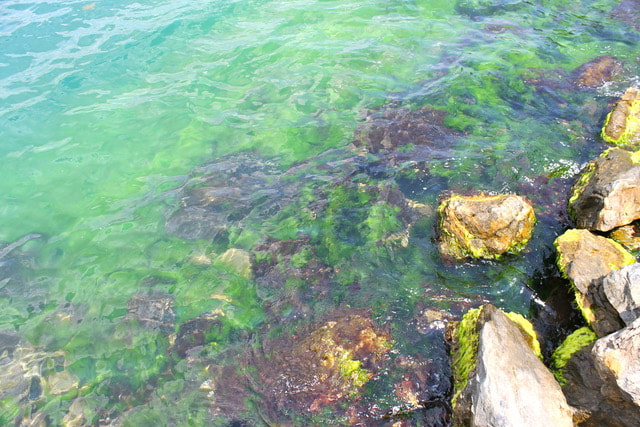 Hydrotherapy: Using Water to Heal - Wellness Minneapolis