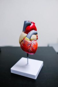 Advanced Cardiac Testing For Early Detection - Wellness Minneapolis